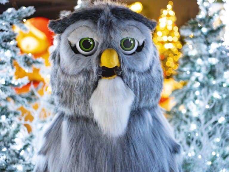 Animatronics - The Seasonal Group The Seasonal Group